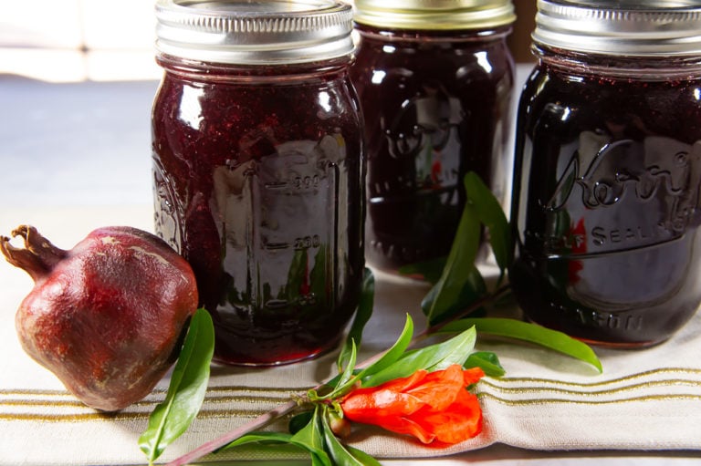 Types of Fruit Preservation: The Difference between Jams, Jellies, and ...